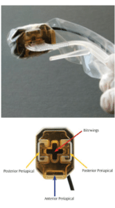 TrollByte Rayzor™ Sensor Holder for DEXIS by TrollDental