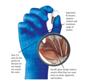 FAQ: Microflex Ultraform by Ansell - Dimensions of Dental Hygiene