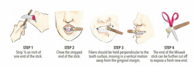 The Use of Miswak to Improve Oral Health Outcomes - Dimensions of ...
