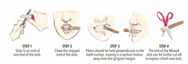 The Use of Miswak to Improve Oral Health Outcomes - Dimensions of ...