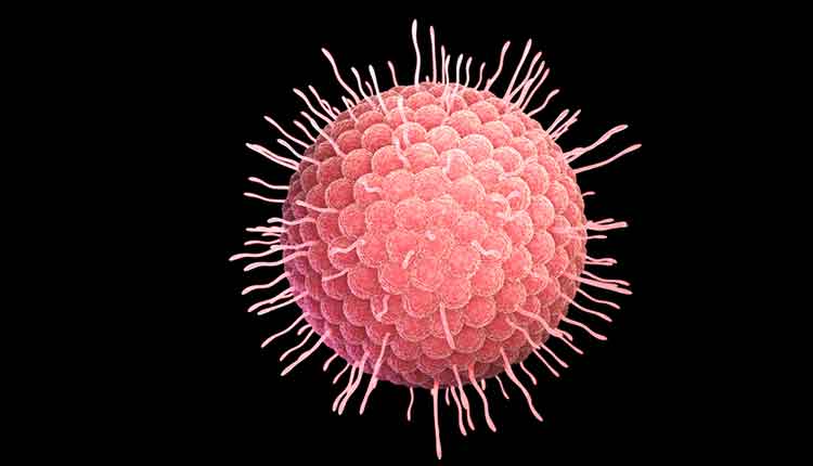 Delta Variant of COVID-19 Is as Contagious as Chicken Pox - Dimensions ...