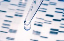 The Oral and Systemic Health Benefits of Arginine