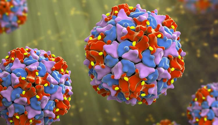 New York Finds Polio Virus in its Wastewater - Dimensions of Dental Hygiene