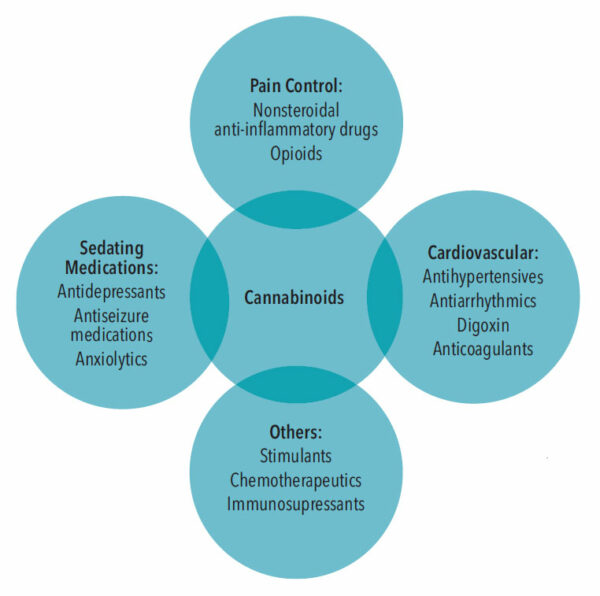 What You Need to Know About Cannabis Use - Dimensions of Dental Hygiene