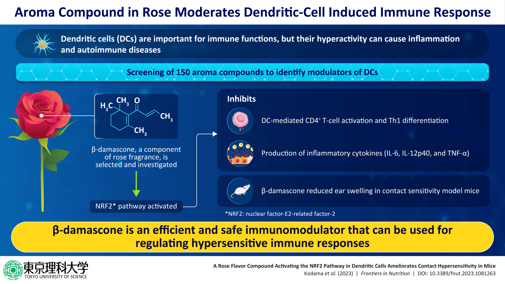 A Rose May Be More Than Just a Rose - Dimensions of Dental Hygiene