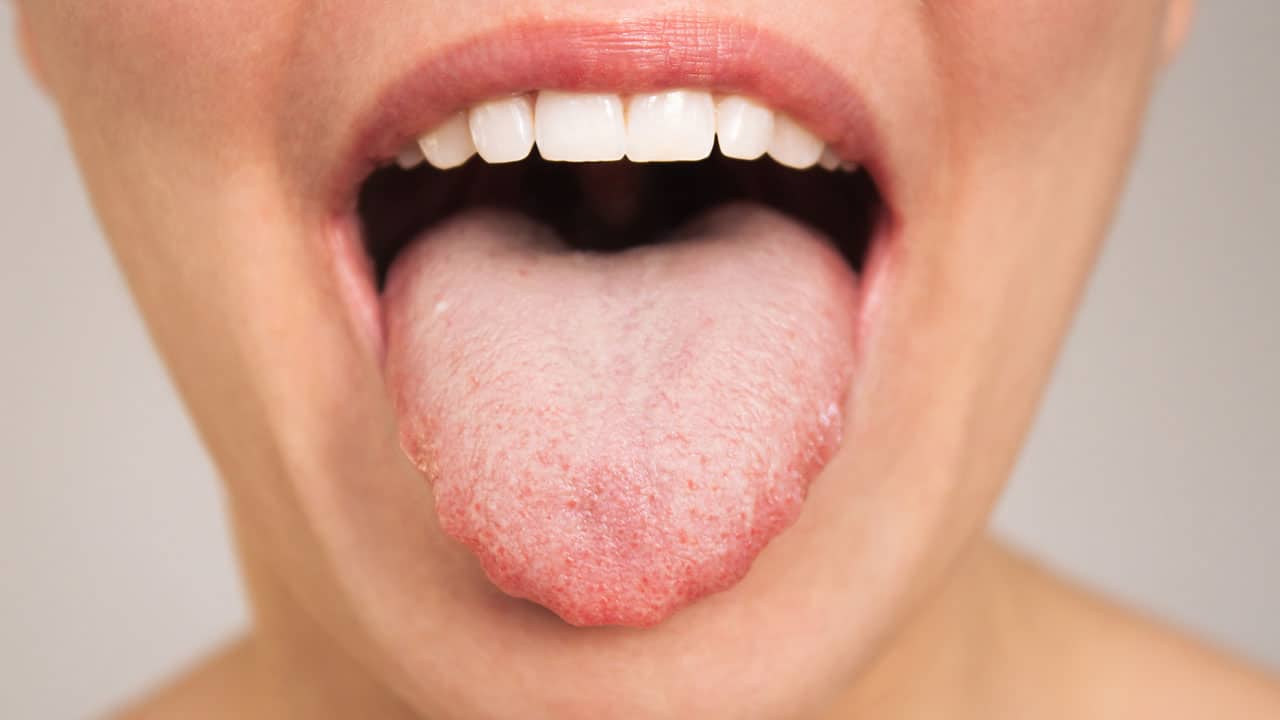 The Surprising Locations of Taste Receptors and Their Role in Health ...