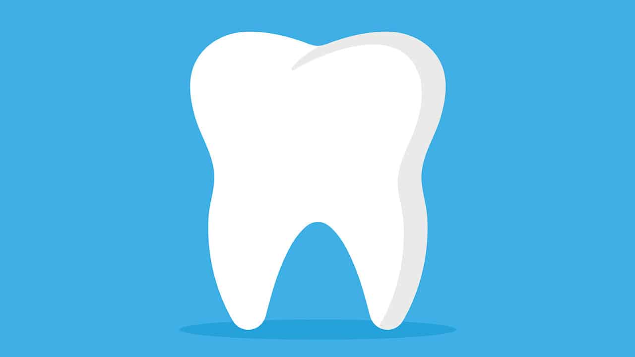 A Funeral for a Tooth Raises Funds for a Good Cause - Dimensions of ...