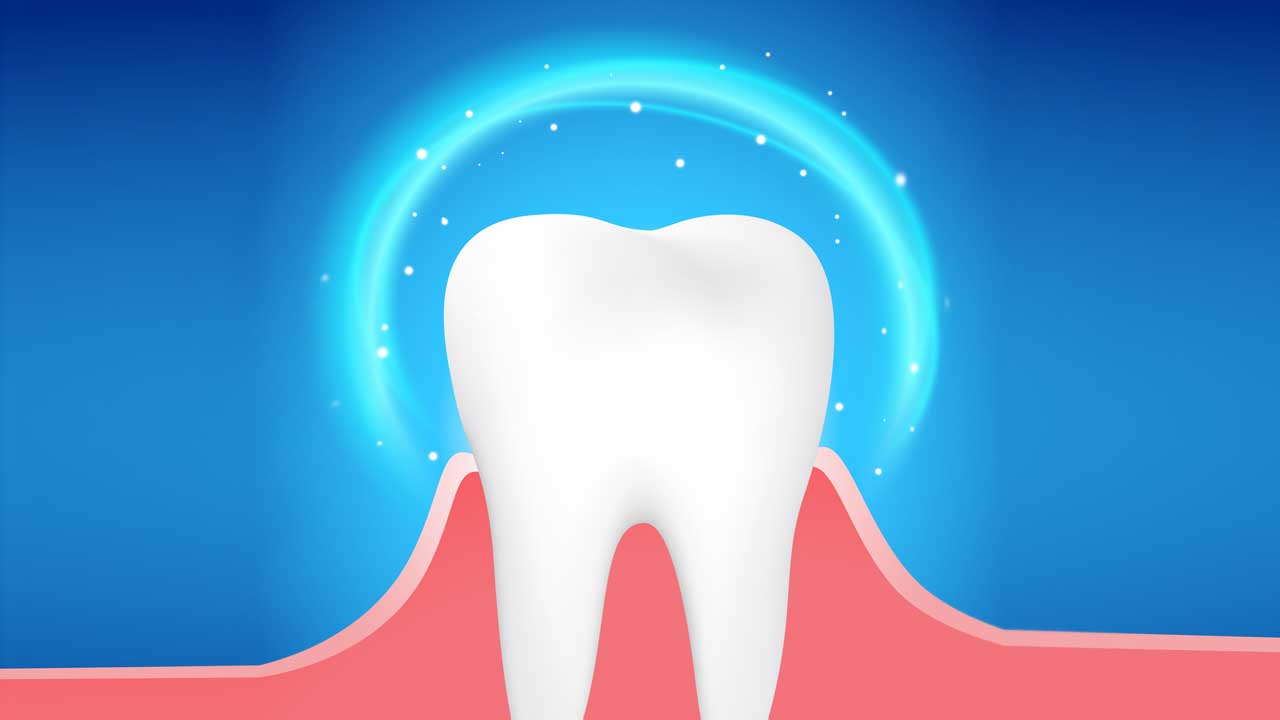 Regrowing Teeth Understanding Human Tooth Regeneration Japanese