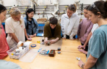 Maggots in the Mouth: The Rare but Hidden Peril of Oral Myiasis ...