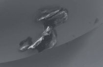 The Concept of Biologic Width in Restorative Dentistry - Dimensions of ...