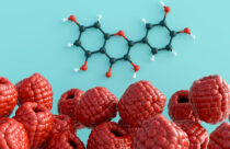 Maggots in the Mouth: The Rare but Hidden Peril of Oral Myiasis ...