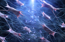 The Concept of Biologic Width in Restorative Dentistry - Dimensions of ...