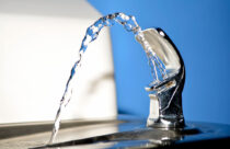 Maggots in the Mouth: The Rare but Hidden Peril of Oral Myiasis ...