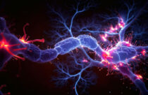 Maggots in the Mouth: The Rare but Hidden Peril of Oral Myiasis ...