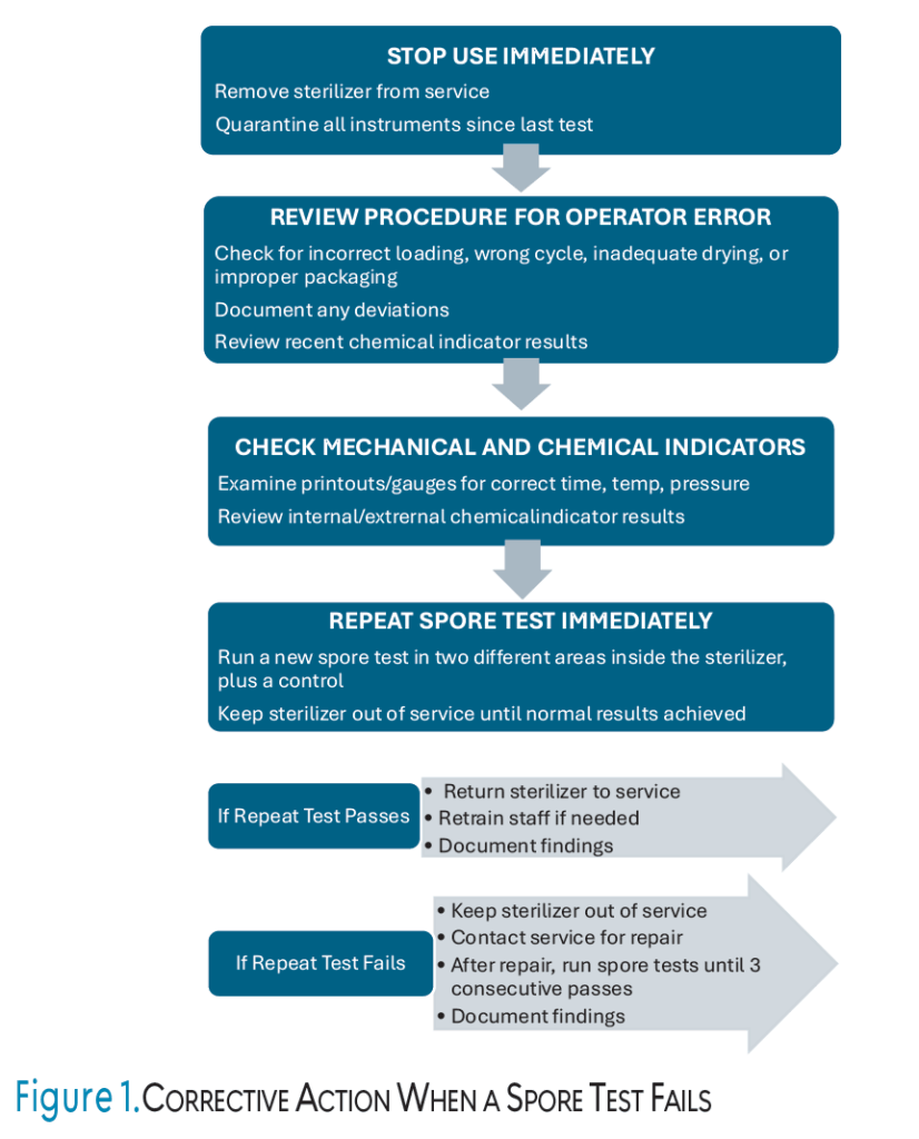 Get Infection Control Right Every Time With Spore Tests and Sterilizers ...