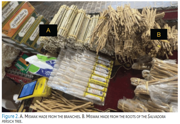 The Miswak Comeback - Dimensions of Dental Hygiene